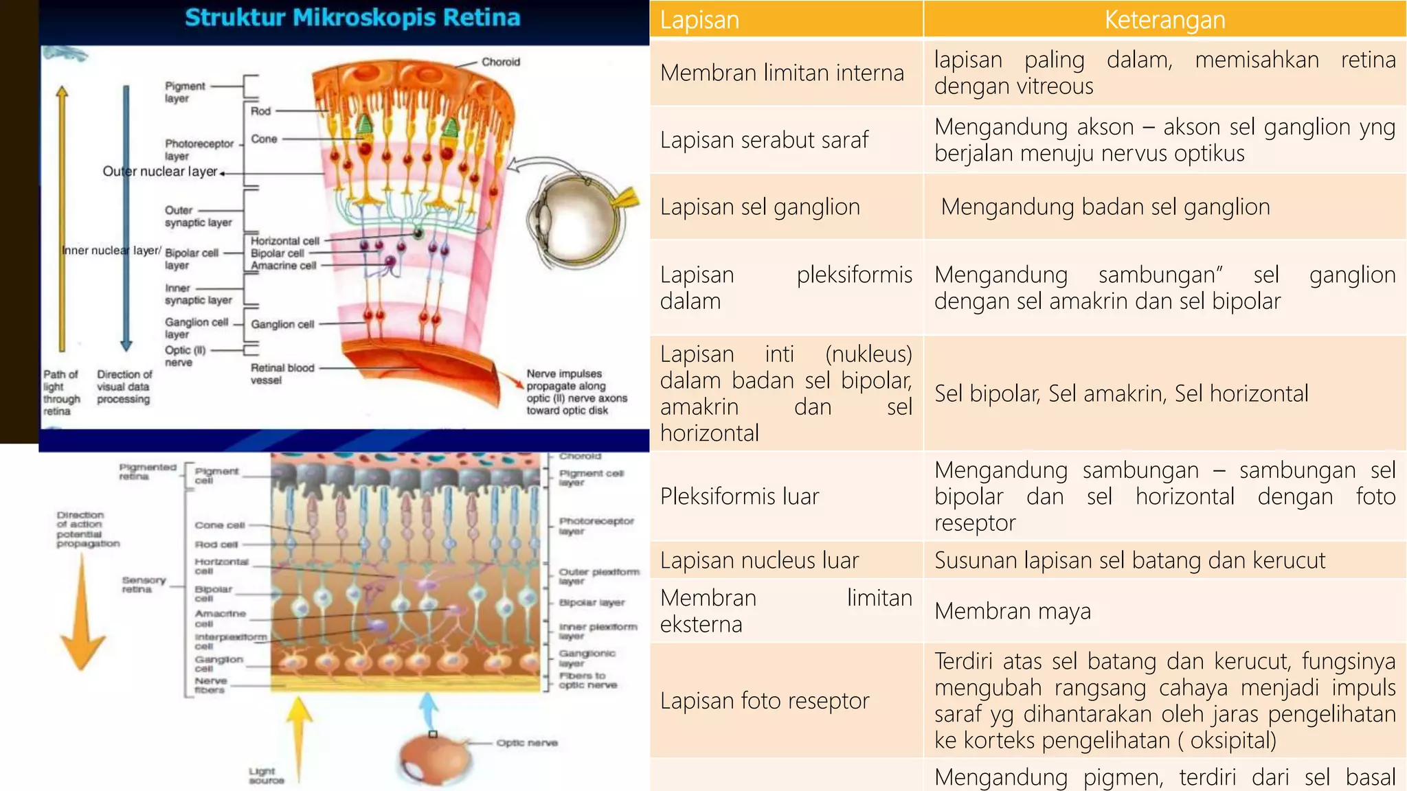 Preskas ablasio retina revision | PPTX