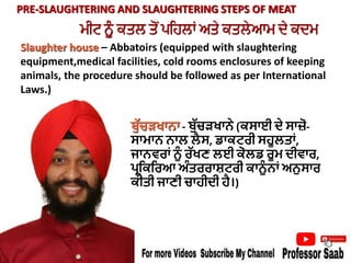 Pre slaughtering of meat.pptx