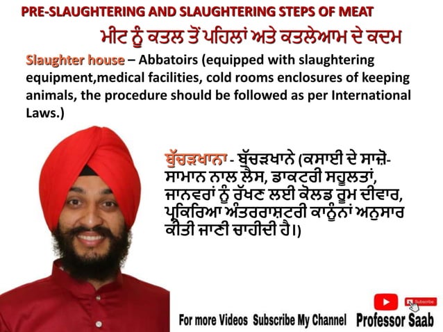Pre slaughtering of meat.pptx
