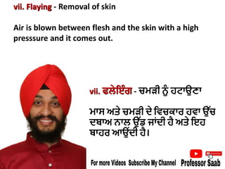 Pre slaughtering of meat.pptx