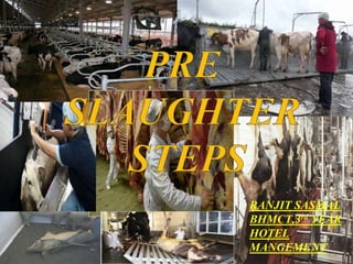 Pre slaughter steps | PPTX