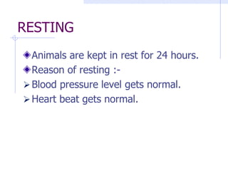 Pre slaughter steps | PPTX