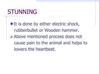 Pre slaughter steps | PPTX