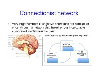 Learning & Memory | PPT