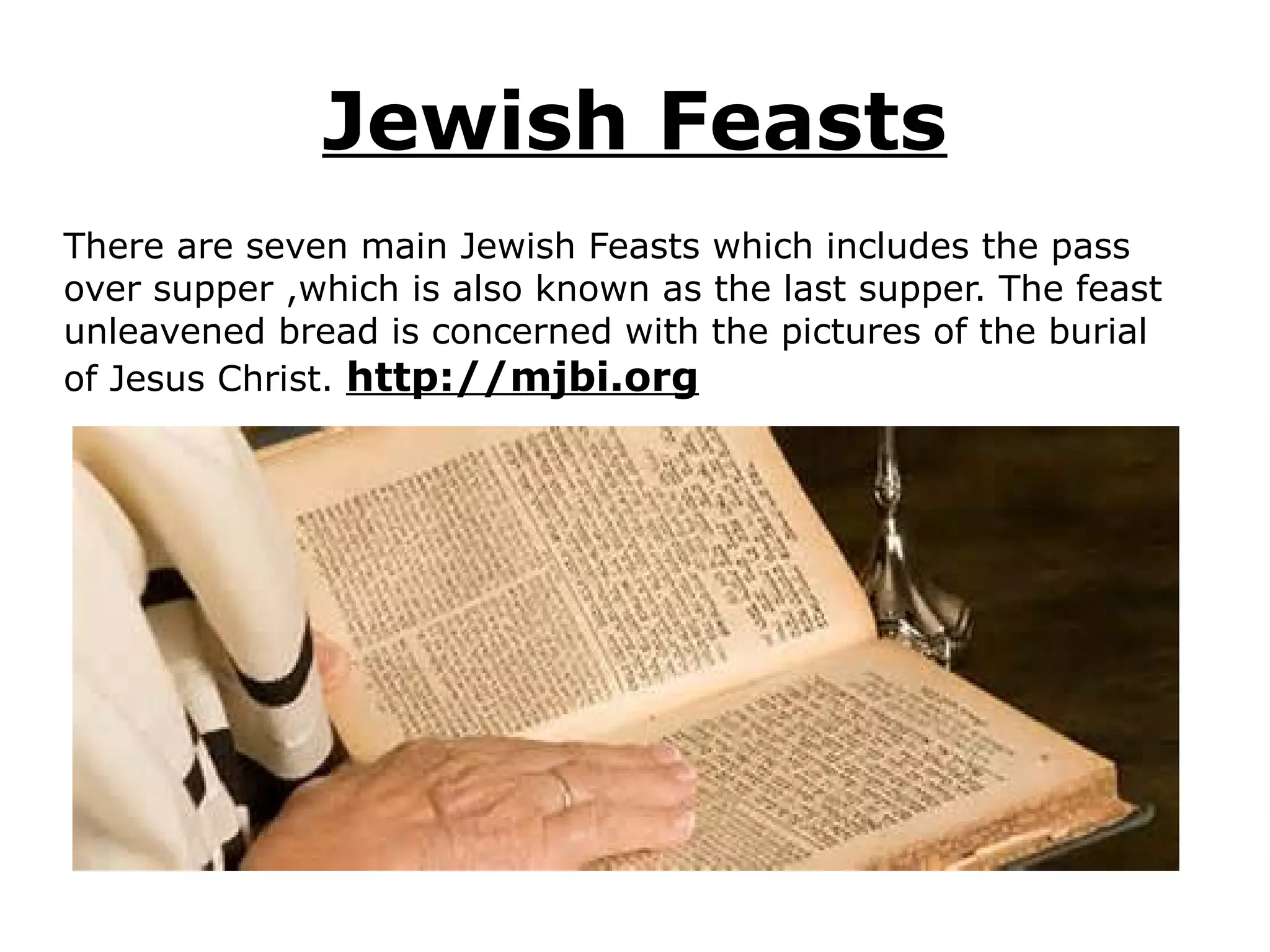 Weekly Torah Portion | ODP