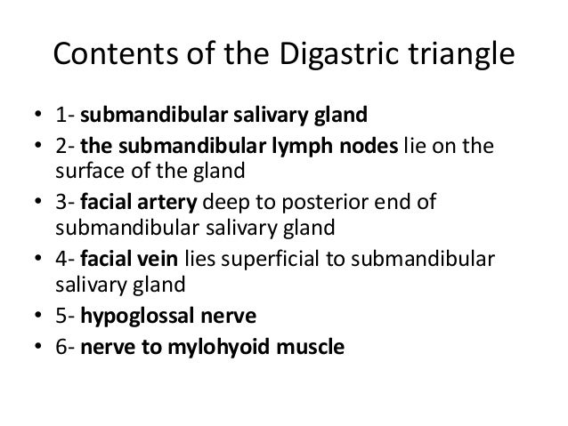 neck fascia and spaces