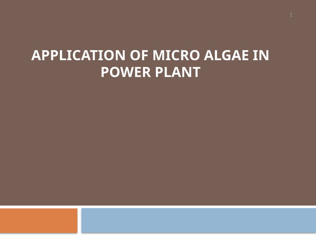 presntation micro algae. production.pptx