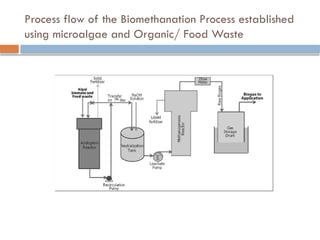 presntation micro algae. production.pptx