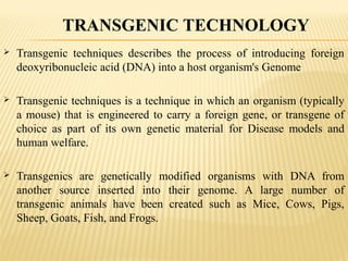 Transgenic technology | PPT
