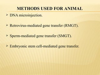 Transgenic technology | PPT