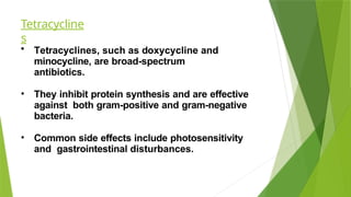 Antibiotics: Classification, Mechanism of Action, Therapeutic Uses ...