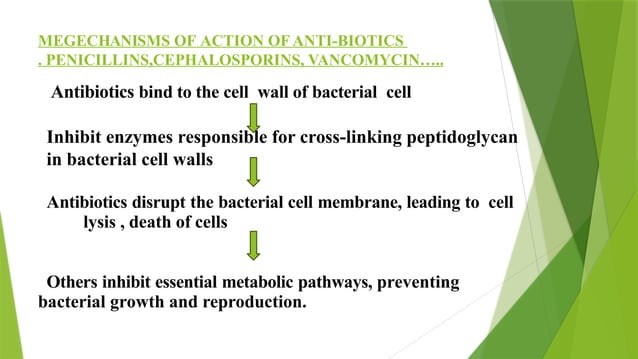 Antibiotics: Classification, Mechanism of Action, Therapeutic Uses ...