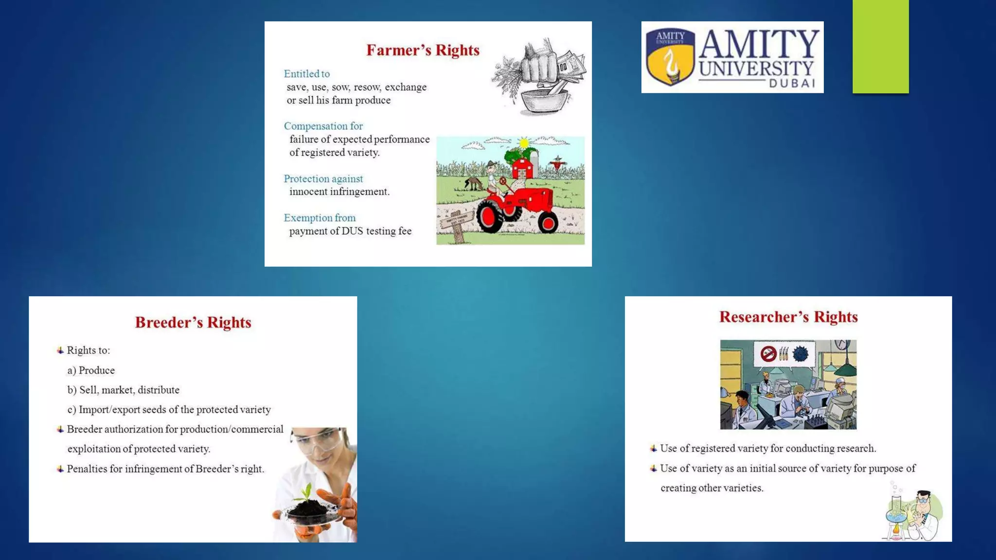 Presntation of plant varieties (vamsi) | PPT