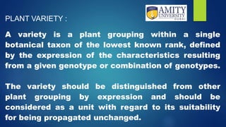 Presntation of plant varieties (vamsi) | PPT