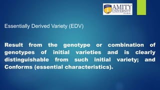 Presntation of plant varieties (vamsi) | PPT