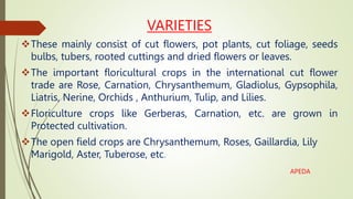 Presnt status of floriculture in india.pptx