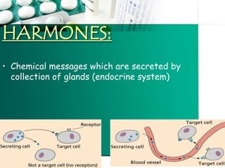 Production of harmones. | PPTX