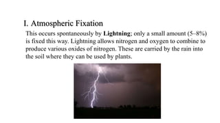 cycling of nitrogen in biosphere | PPT