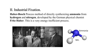 cycling of nitrogen in biosphere | PPT | Free Download