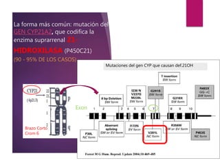 hiperplasia suprarrenal congenita | PPTX