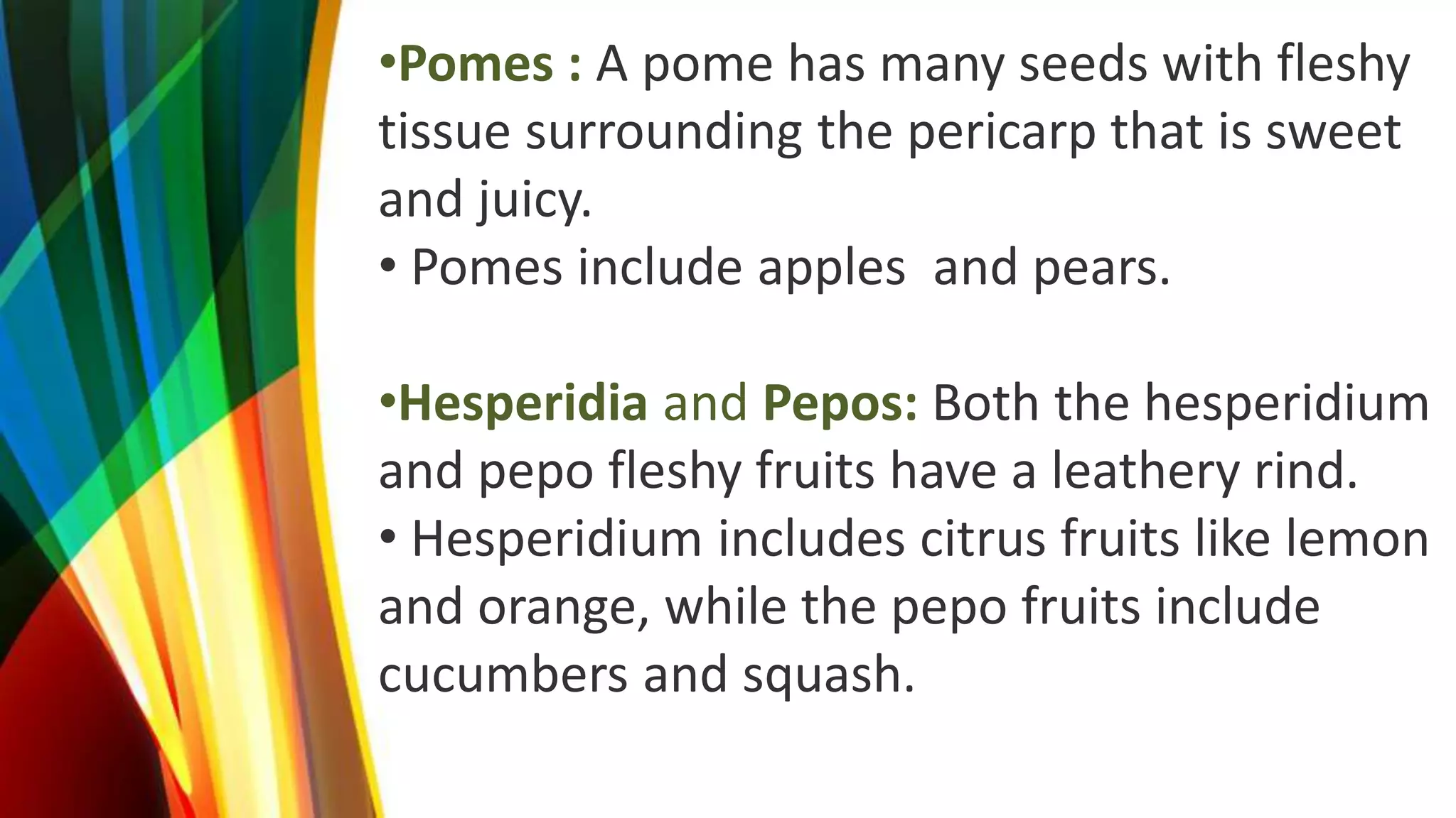 Classification of Fruit | PPTX