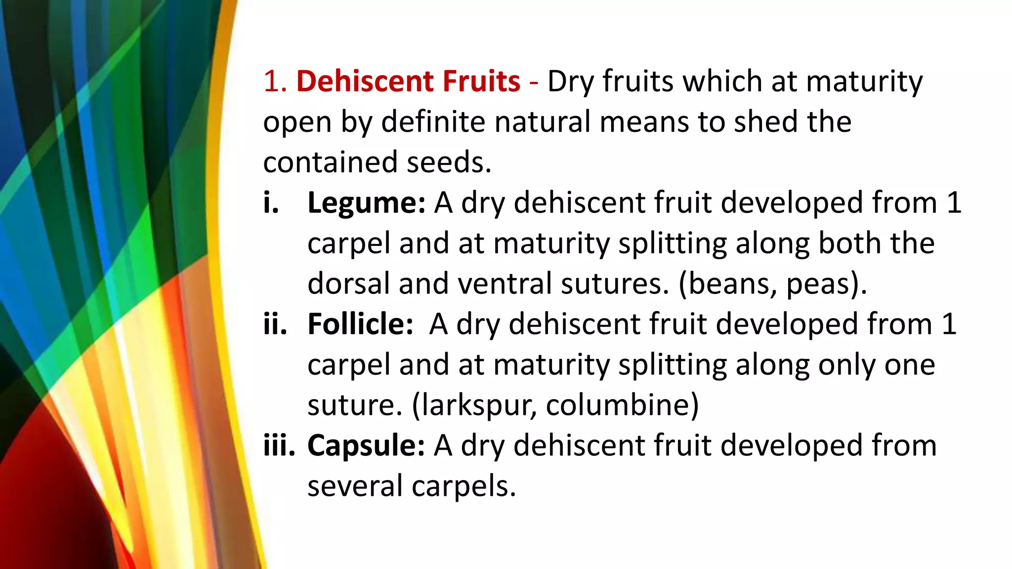 Classification of Fruit | PPTX