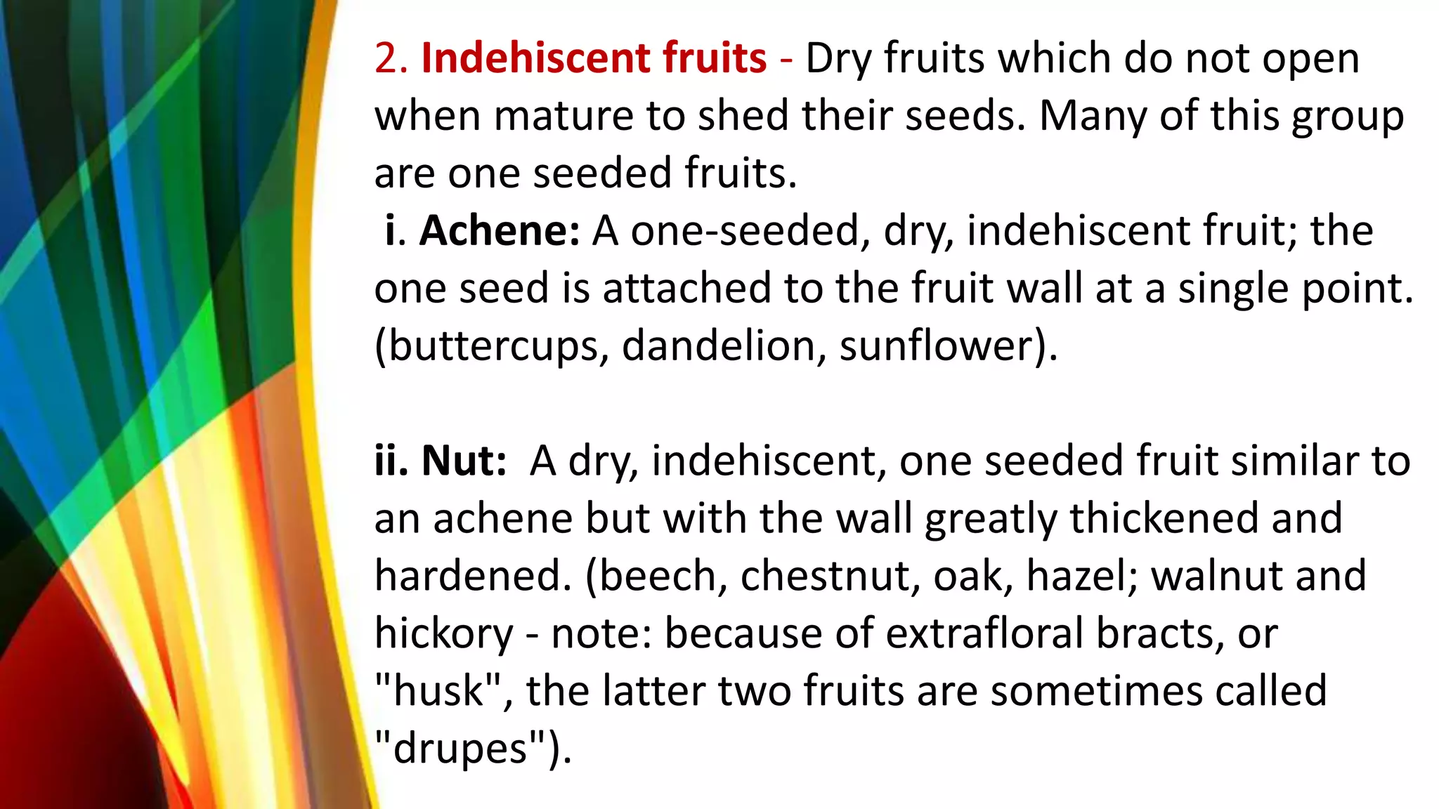 Classification Of Fruit Pptx Gardening Home And Garden