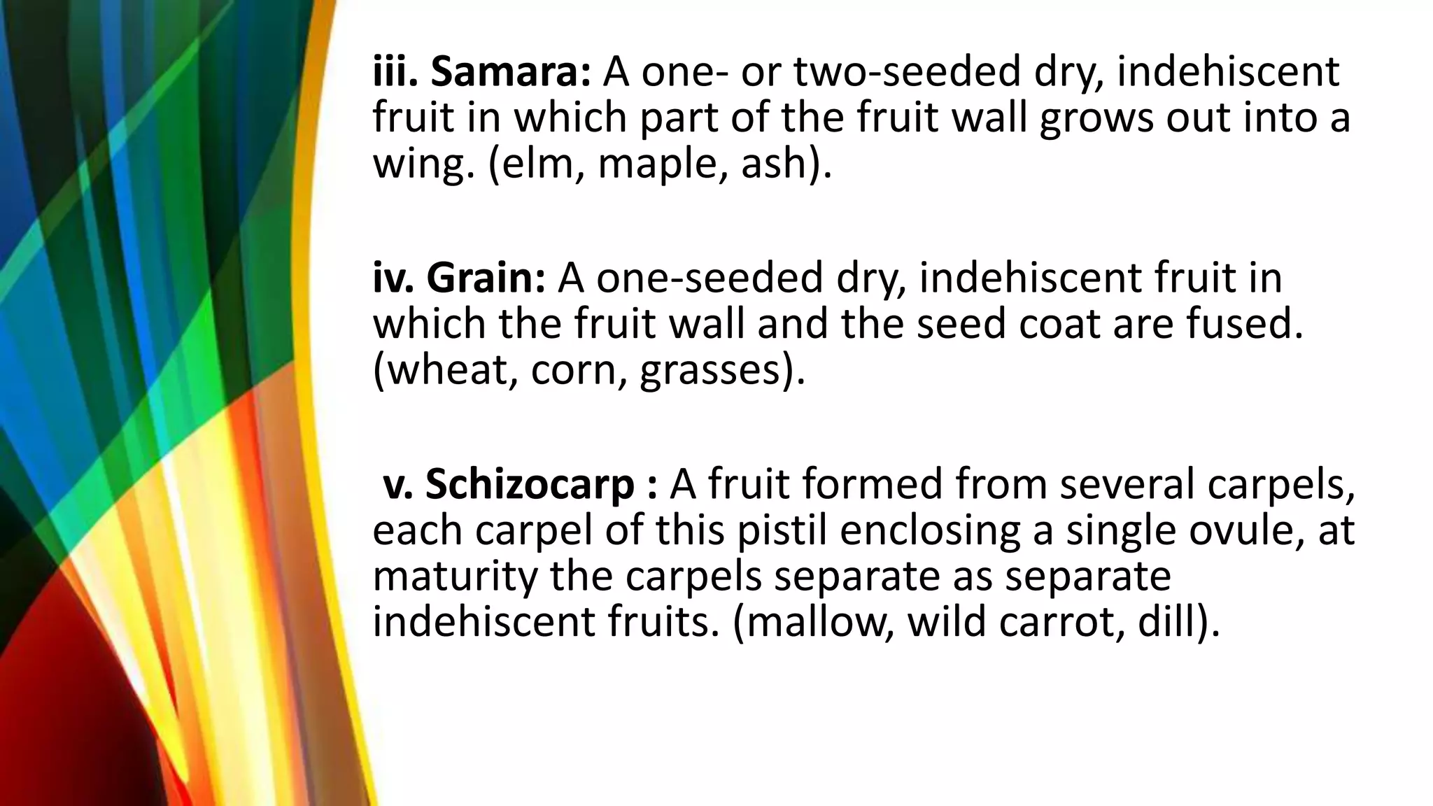 Classification of Fruit | PPTX