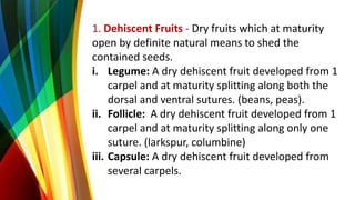 Classification of Fruit | PPTX