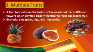 Classification of Fruit | PPTX