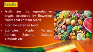 Classification of Fruit | PPTX