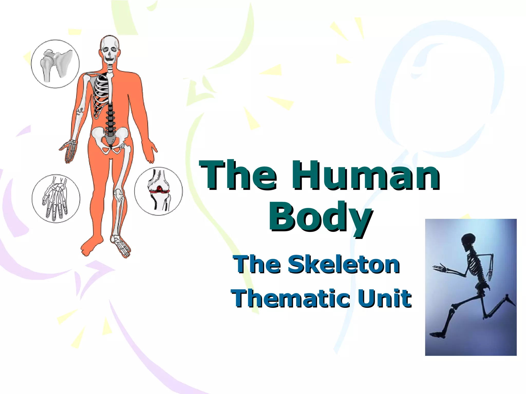 Human Body Skeleton | PPT