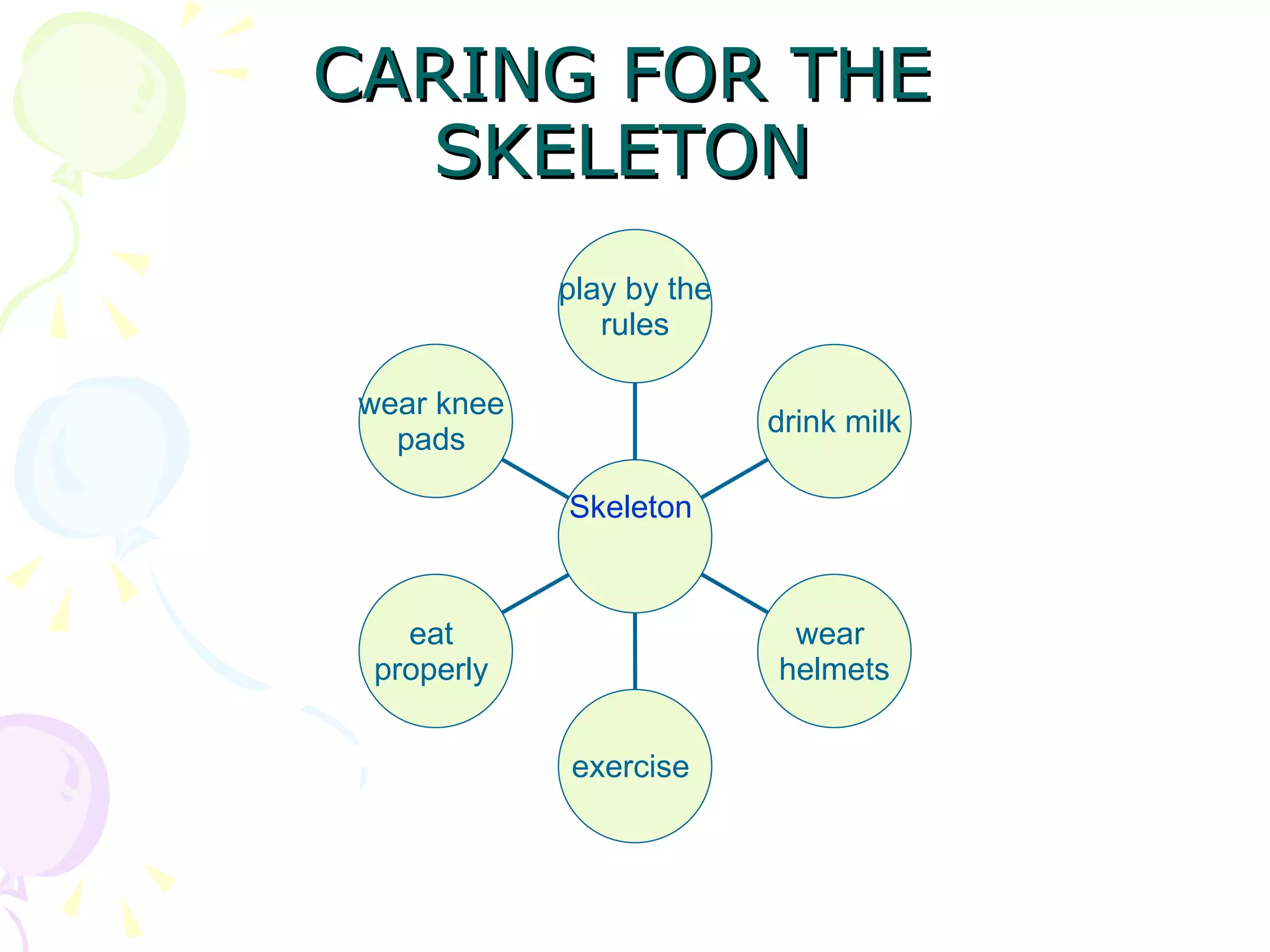 Human Body Skeleton | PPT