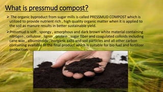 PRESSMUD COMPOST | PPTX