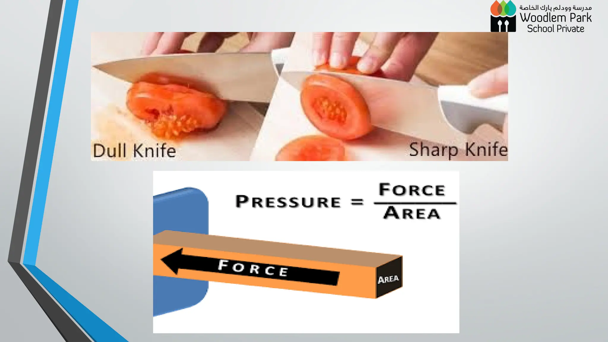 Pressure PHYSICS CHAPTER , PRESSURE pptx | PPTX