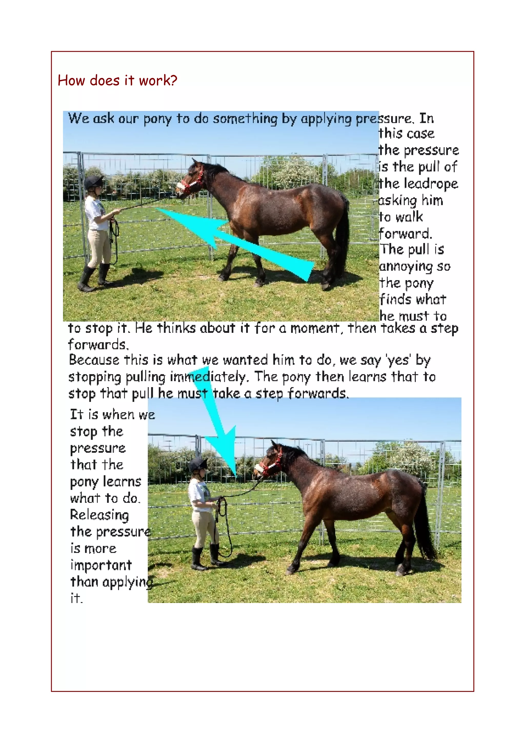 Pressure and release guide | PDF