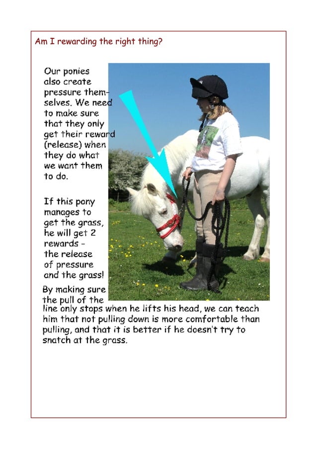 Pressure and release guide | PDF