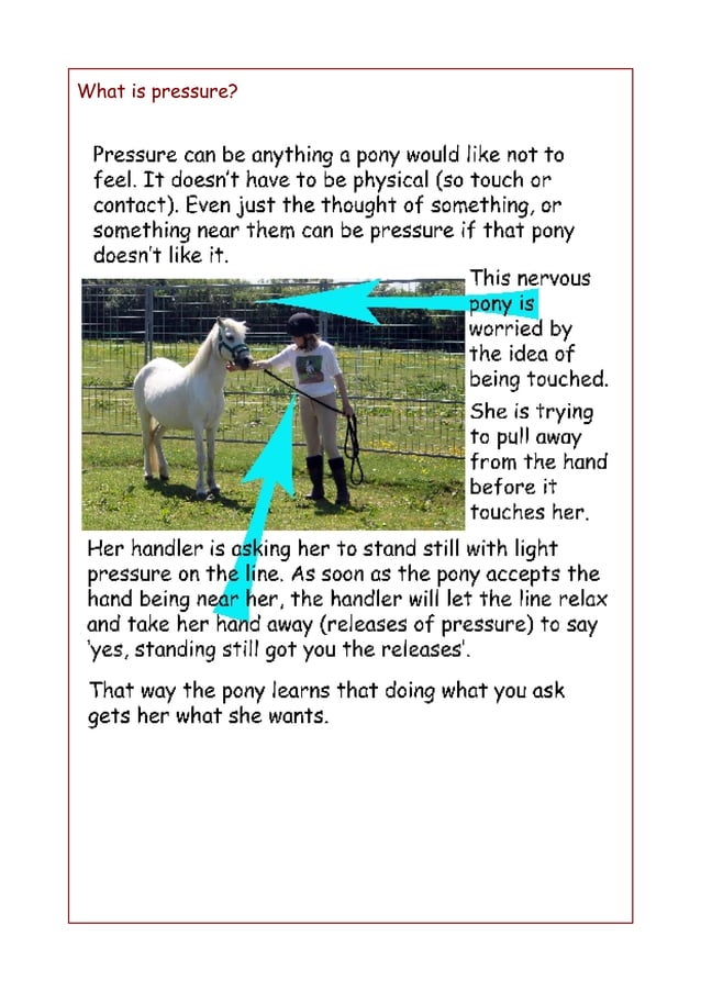 Pressure and release guide | PDF