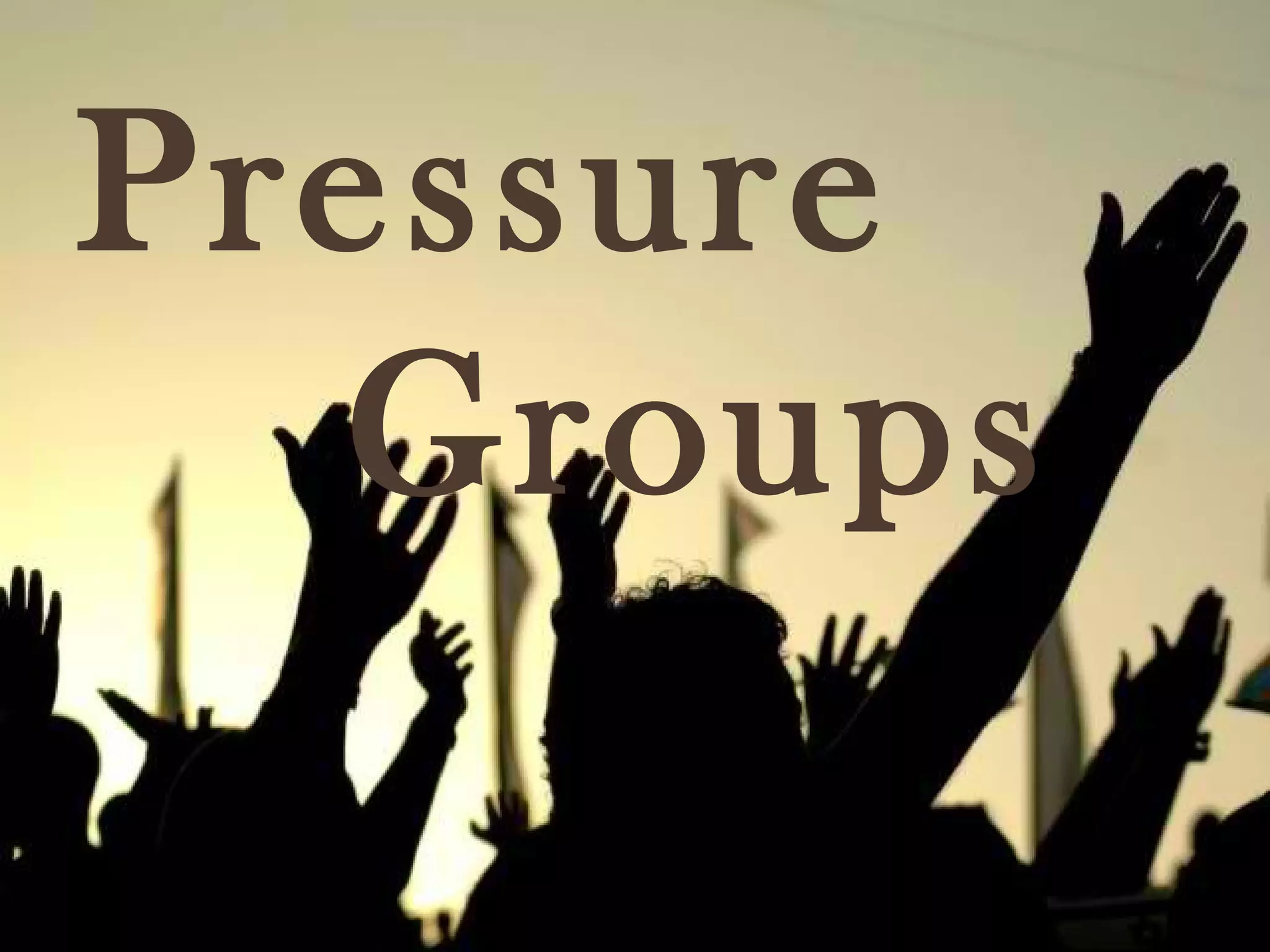 Pressure groups | PPT