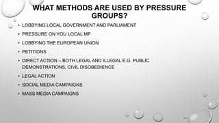 Pressure groups the big picture | PPTX