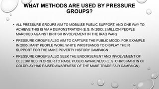Pressure groups the big picture | PPTX