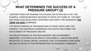 Pressure groups the big picture | PPTX