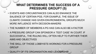 Pressure groups the big picture | PPTX