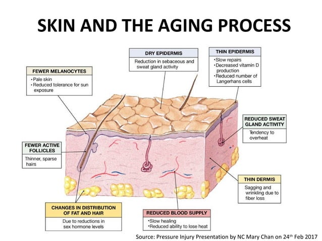 Pressure Injury | PPT | First Aid | Injuries