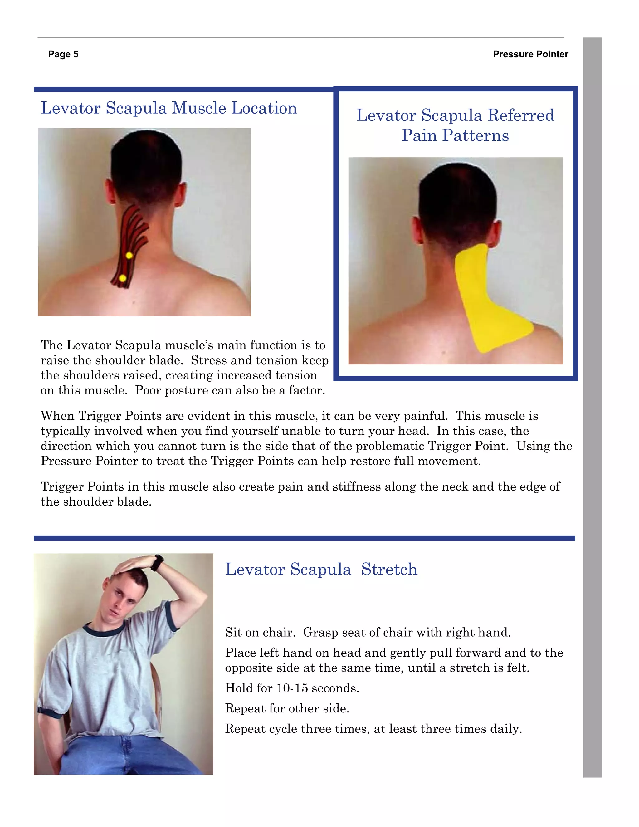 Pressure pointermanual | PDF