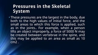 PrRRRRRRRRRRRRRRRRRRRRRRessures-in-the-Body-1.pptx