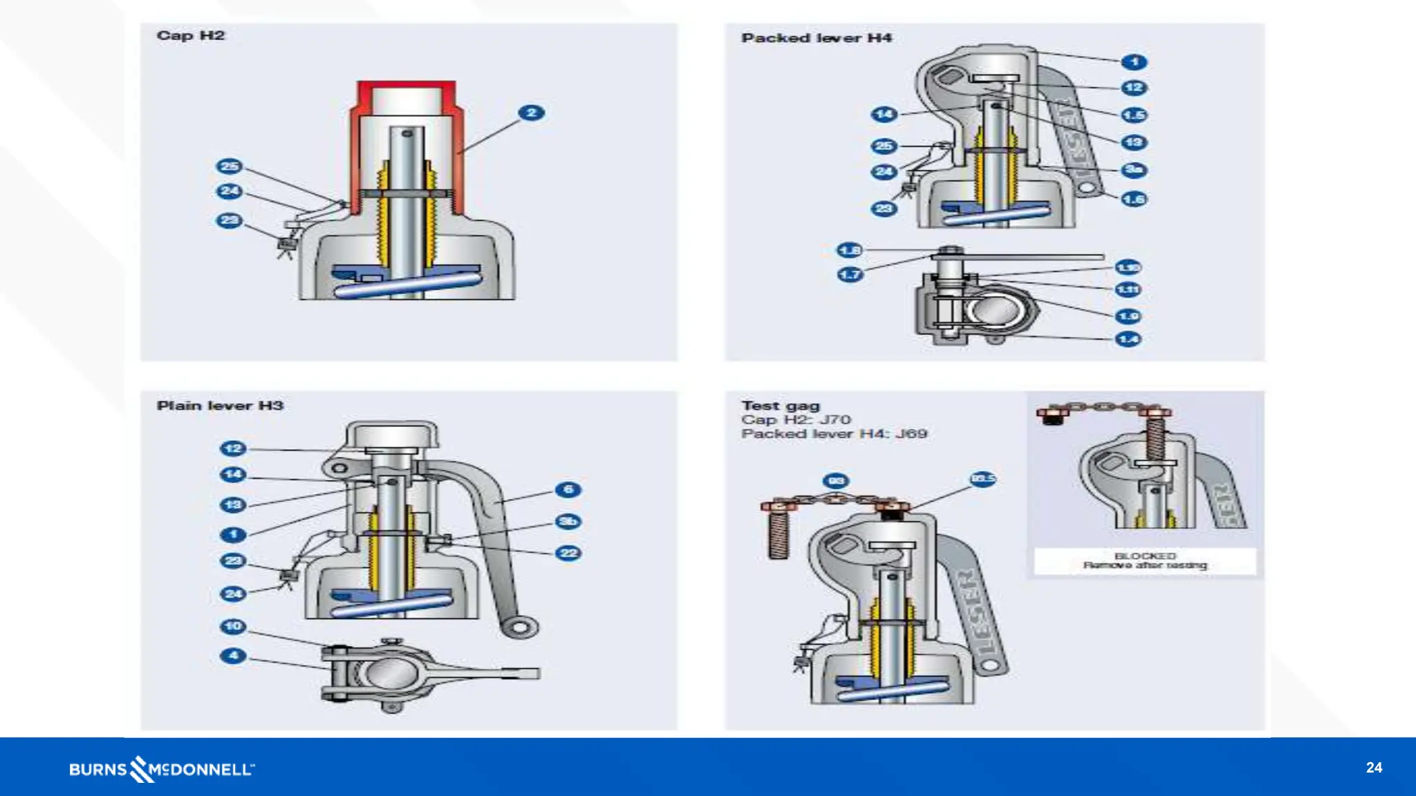 Pressure Safety & Relief Conventional and Bellow Valves.pptx