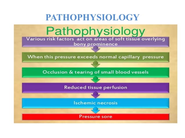 Pressure sore or bed sore or decubitus ulcer ppt | PPTX | Skin and ...