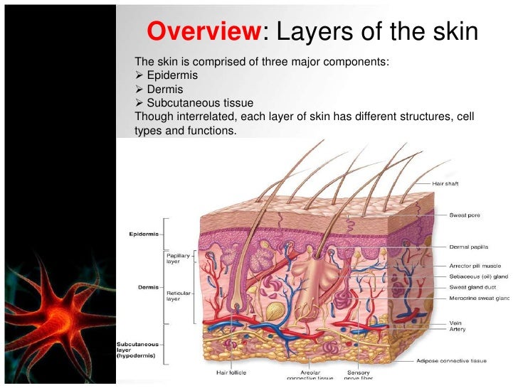 Pressure ulcer assessment and management