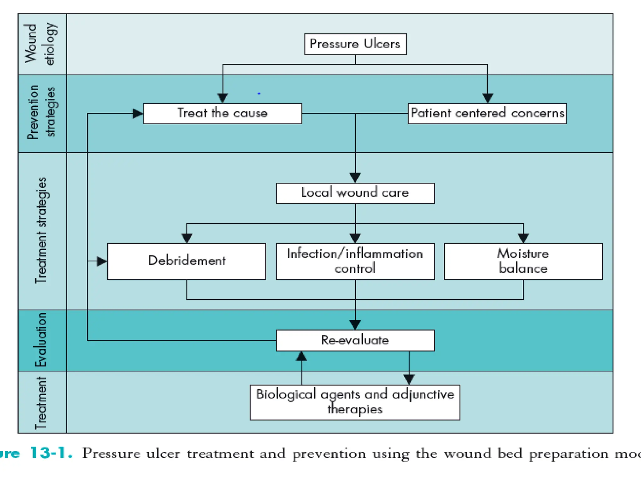 pressure ulcers model.pptx by dr amna hassan | PPTX